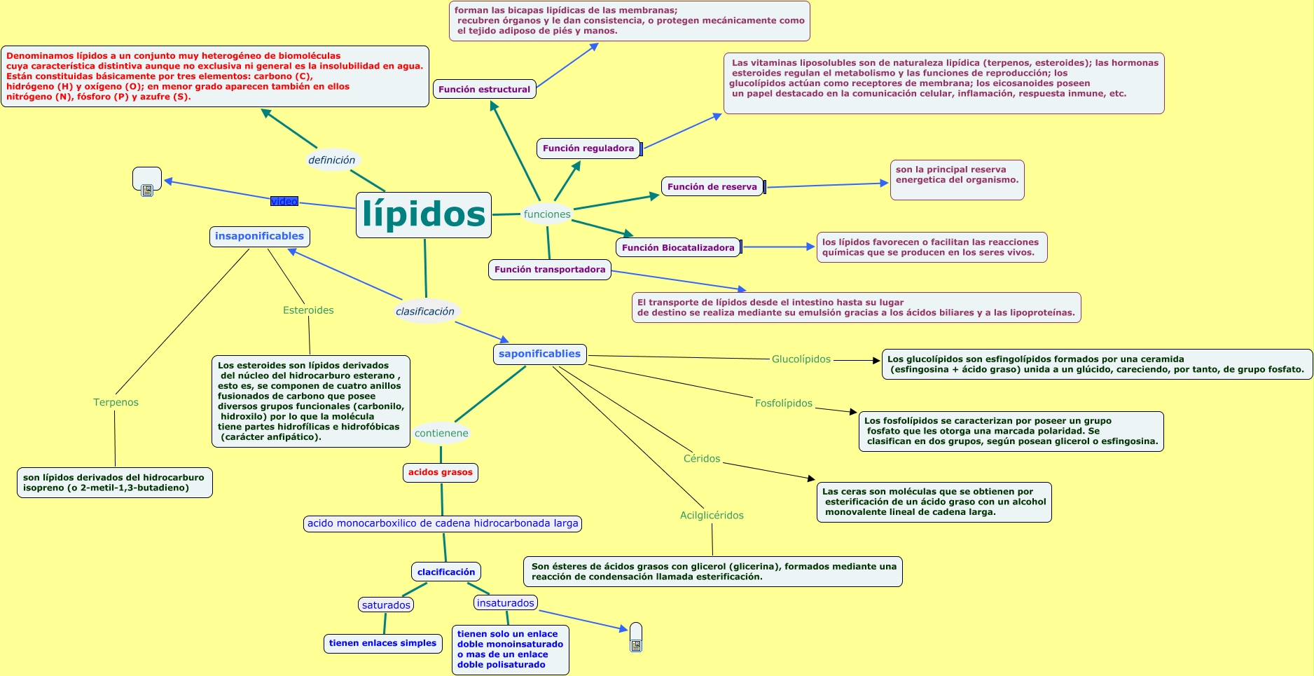 lípidos, Sofía Bertinat